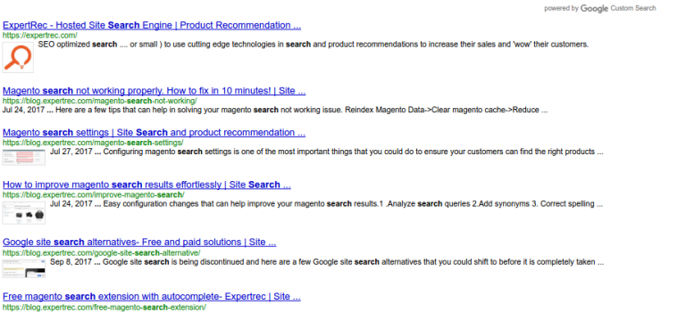 Create a Custom Search Engine with Google CSE - Expertrec