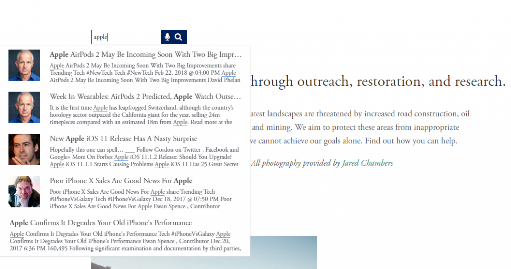 Adding a Custom Search Engine to Your Squarespace Website - Expertrec
