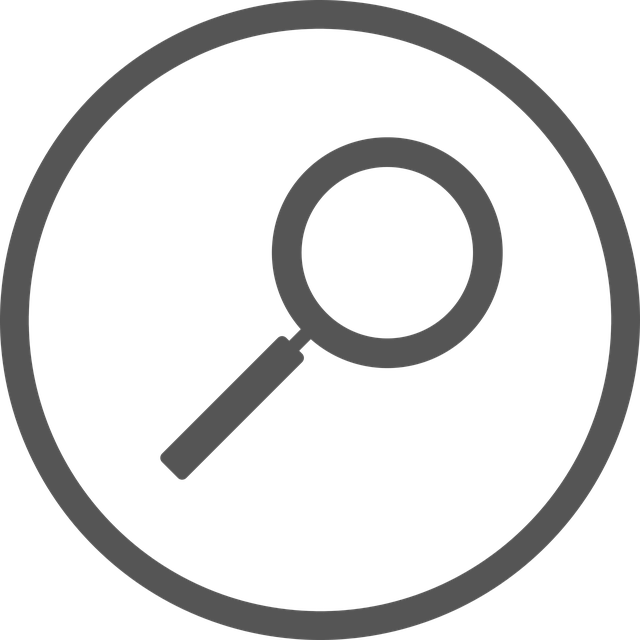Step by Step Guide Creating A Custom Search Bar Using HTML And CSS 