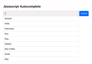 Implementing JavaScript Autocomplete: Enhancing User Search Experience ...