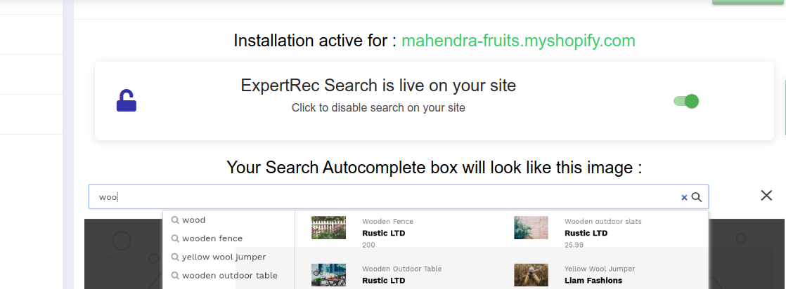 A Complete Guide on Using Shopify Search | Expertrec